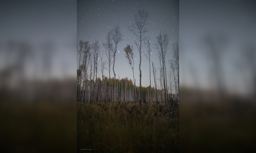 «Небесный крест»: в конце января жители Ростова увидят уникальное ...